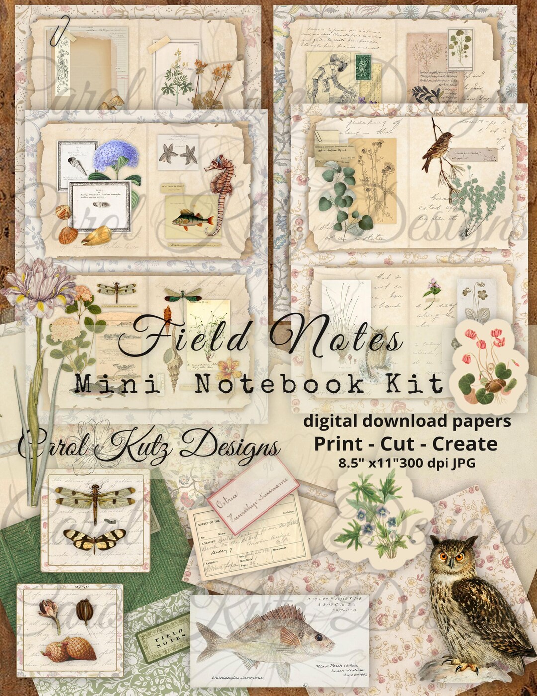 Junk Journal, Field Notes, Journal Kit, Small Journal Kit, Carol Kutz ...