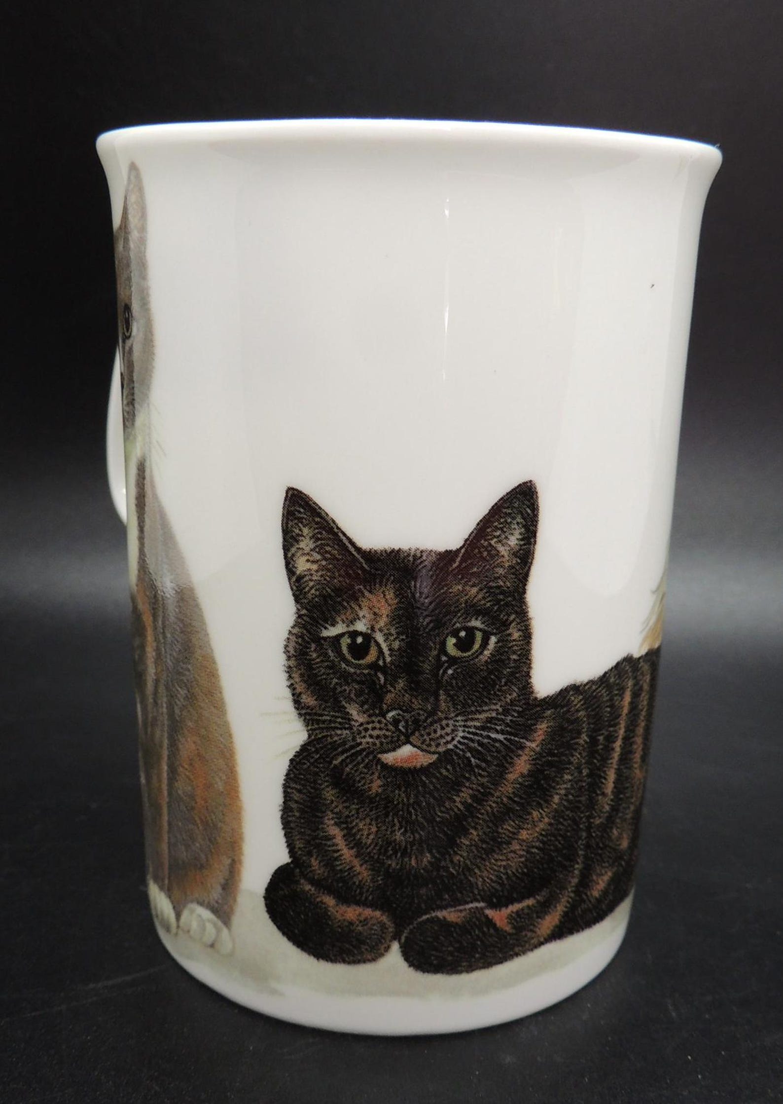 Vintage Roy Kirkham Cats Galore Coffee Mug, Fine Bone China England ...