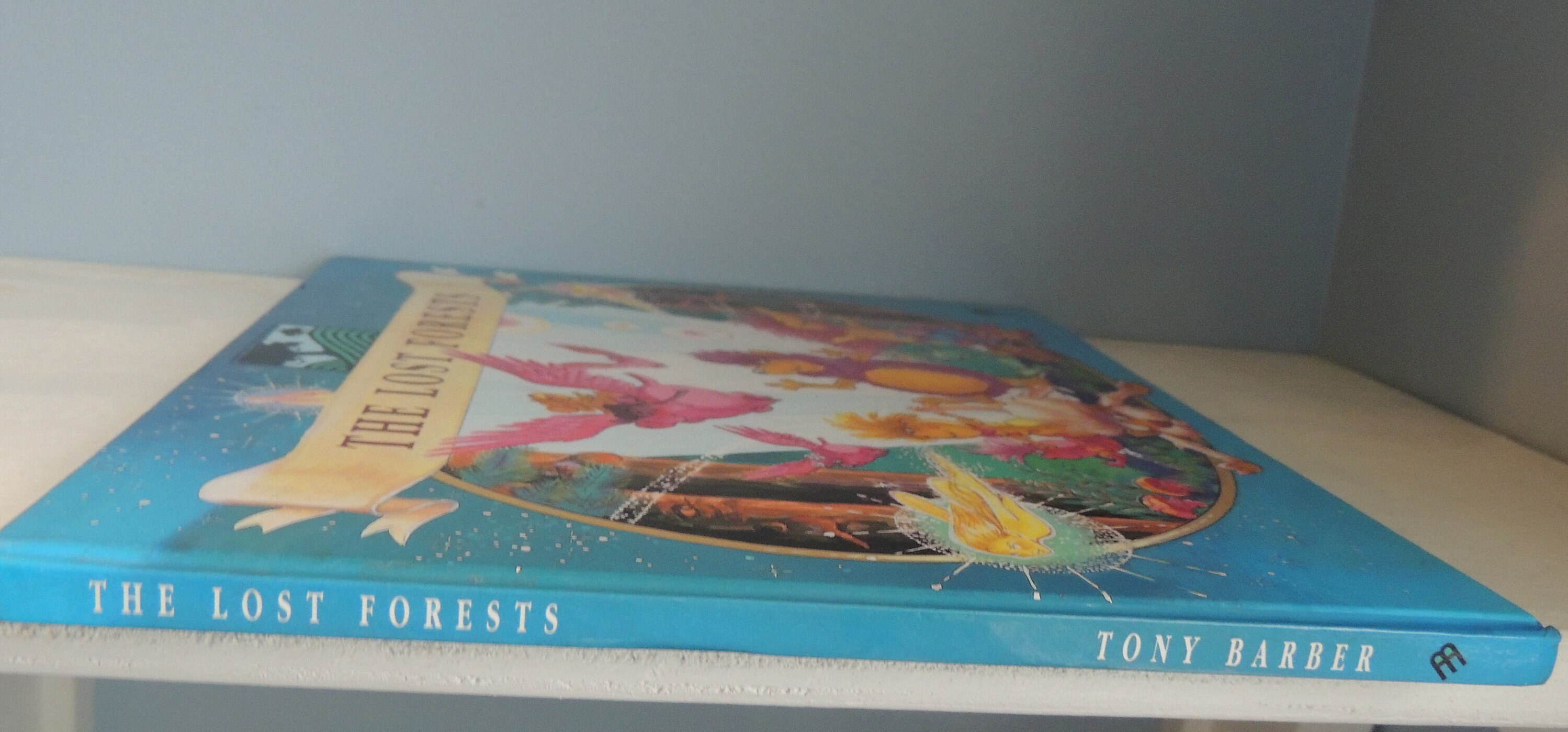 The Lost Forest by Tony Barber and Rowena Cory RARE Vintage - Etsy