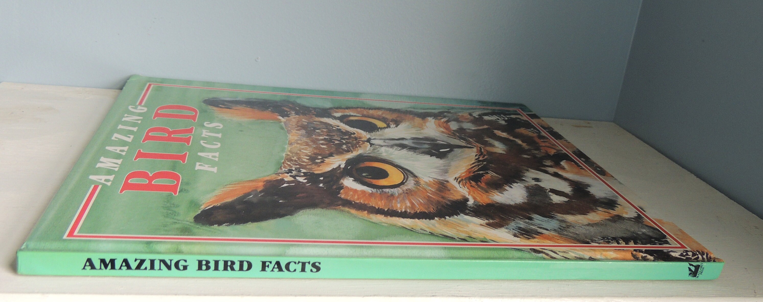 Amazing Bird Facts, Vintage Children's Book All About Birds, by Anita ...