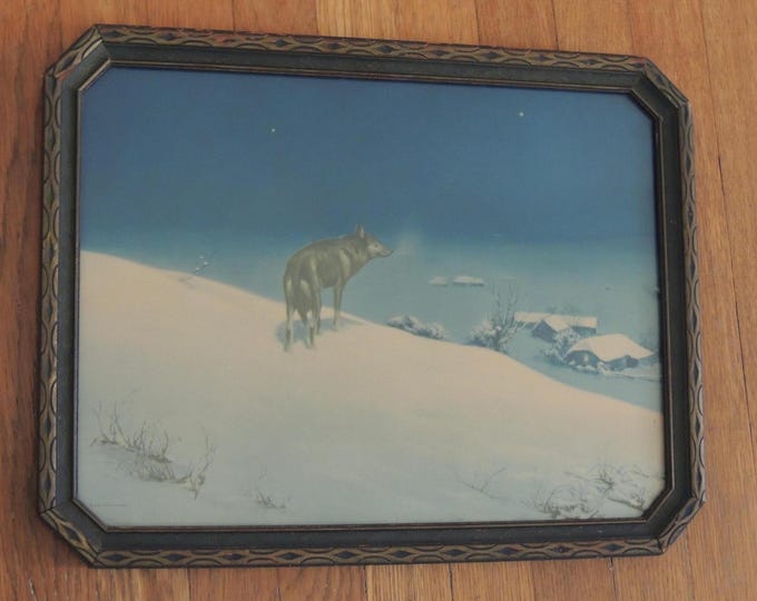 Antique Lone Wolf Print in Antique Frame, Original 1925 Print, Wolf in ...