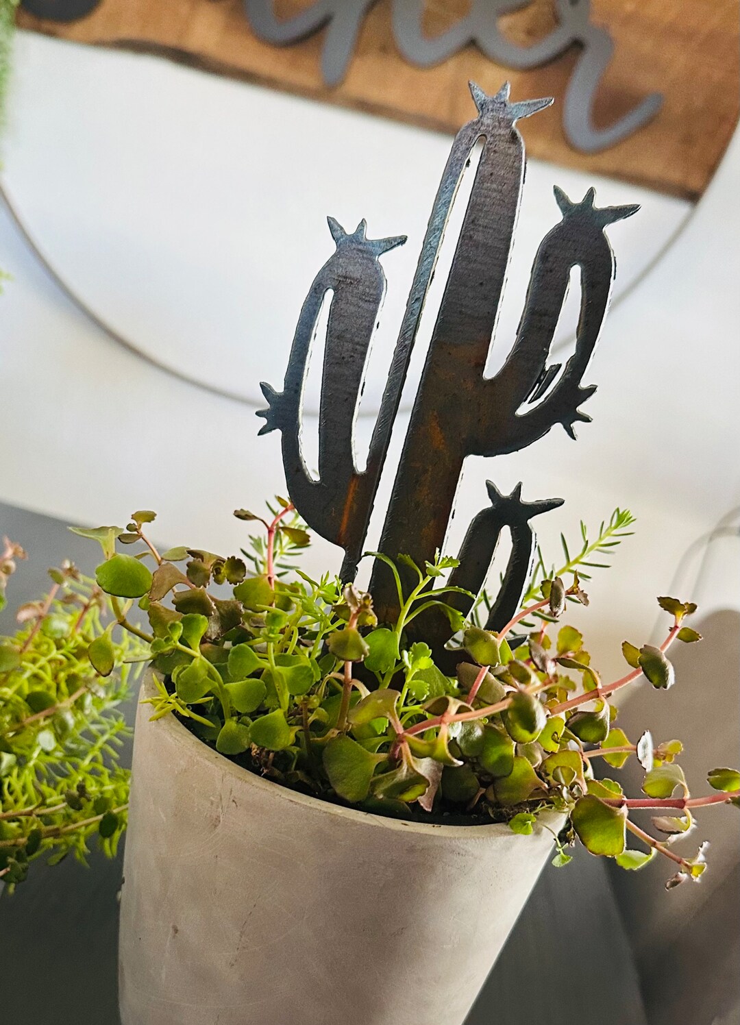 Cactus Plant Stake Garden Stake Metal Decoration Plant Accessory - Etsy