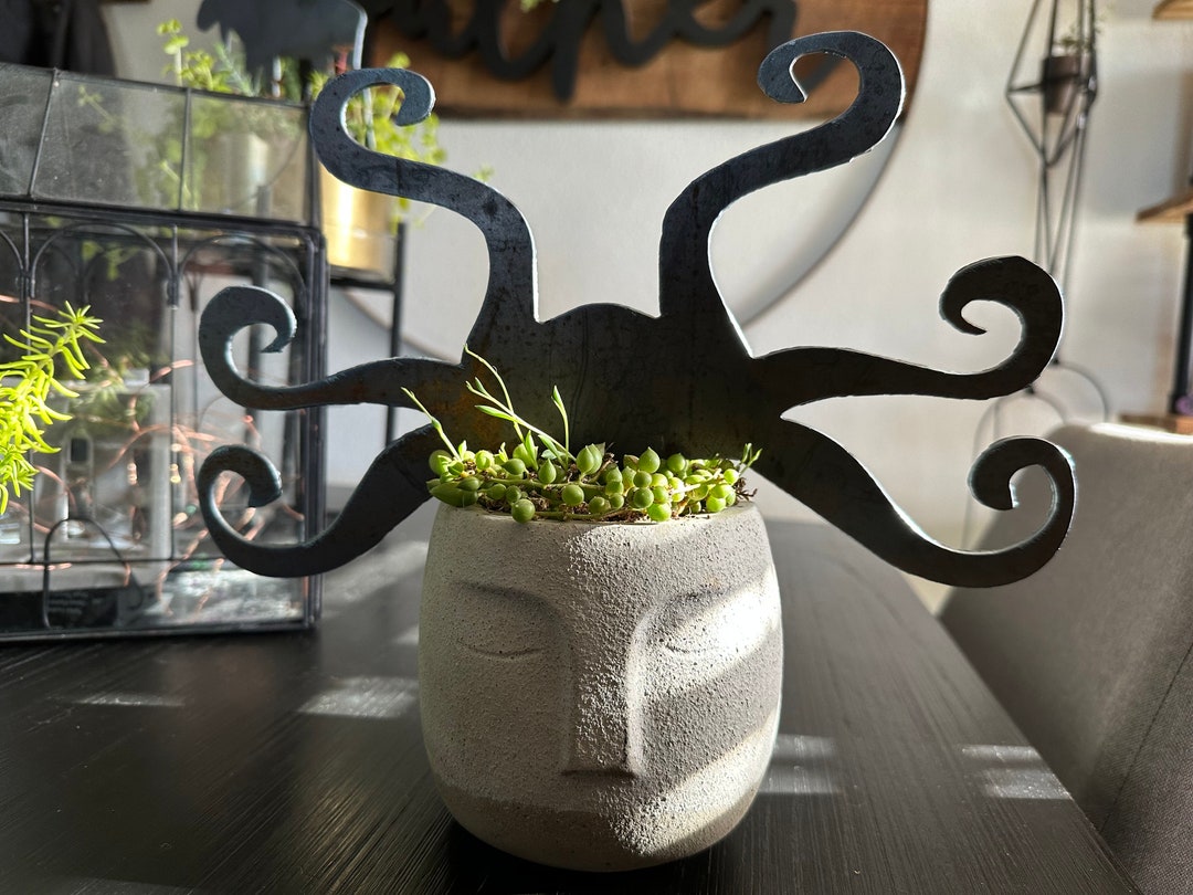 Medusa Hair Plant Stake Garden Stake Metal Decoration Plant Accessory ...