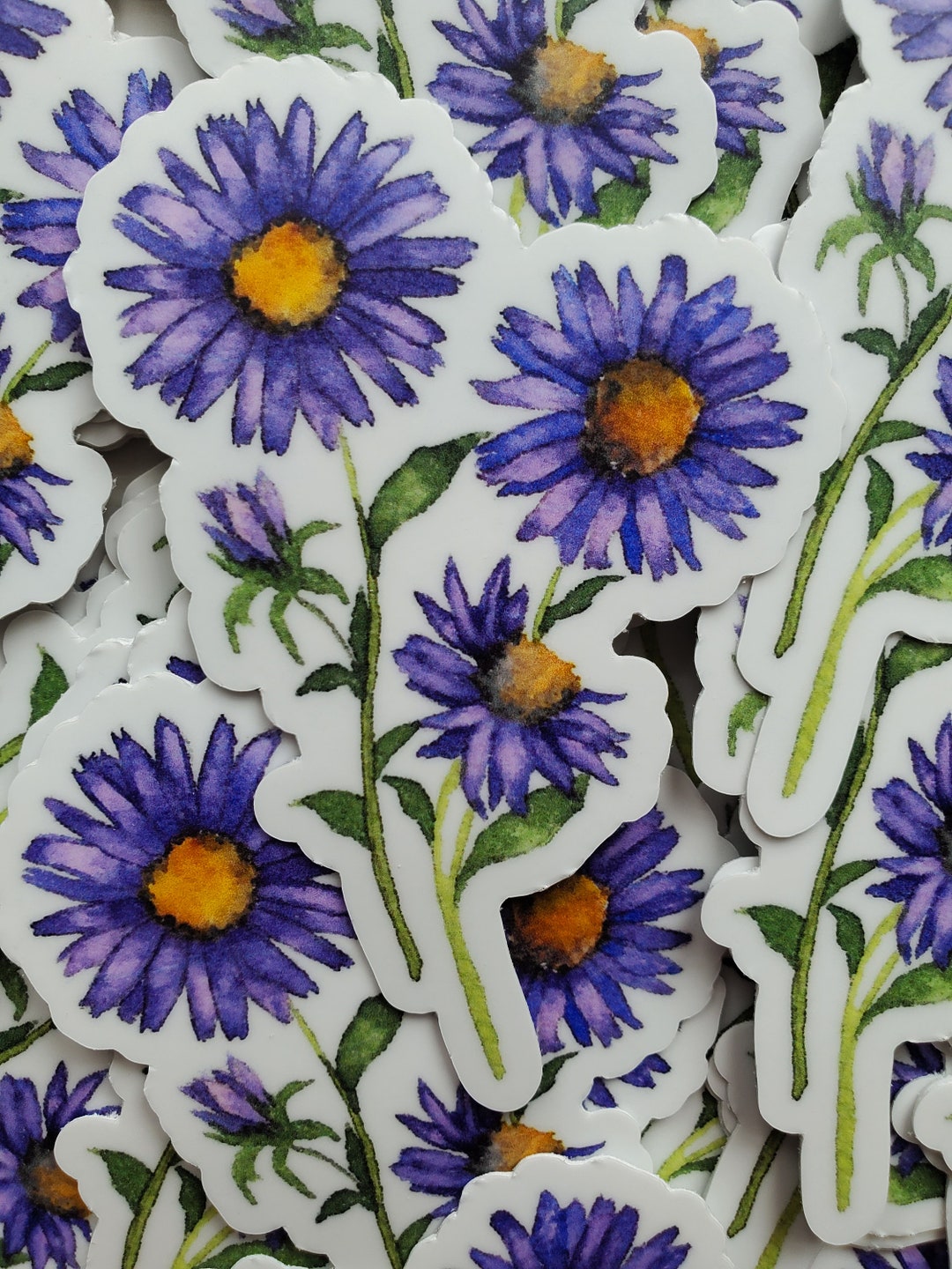 Aster Vinyl Sticker | Nature Stickers, Flower Vinyl Sticker, Botanical ...