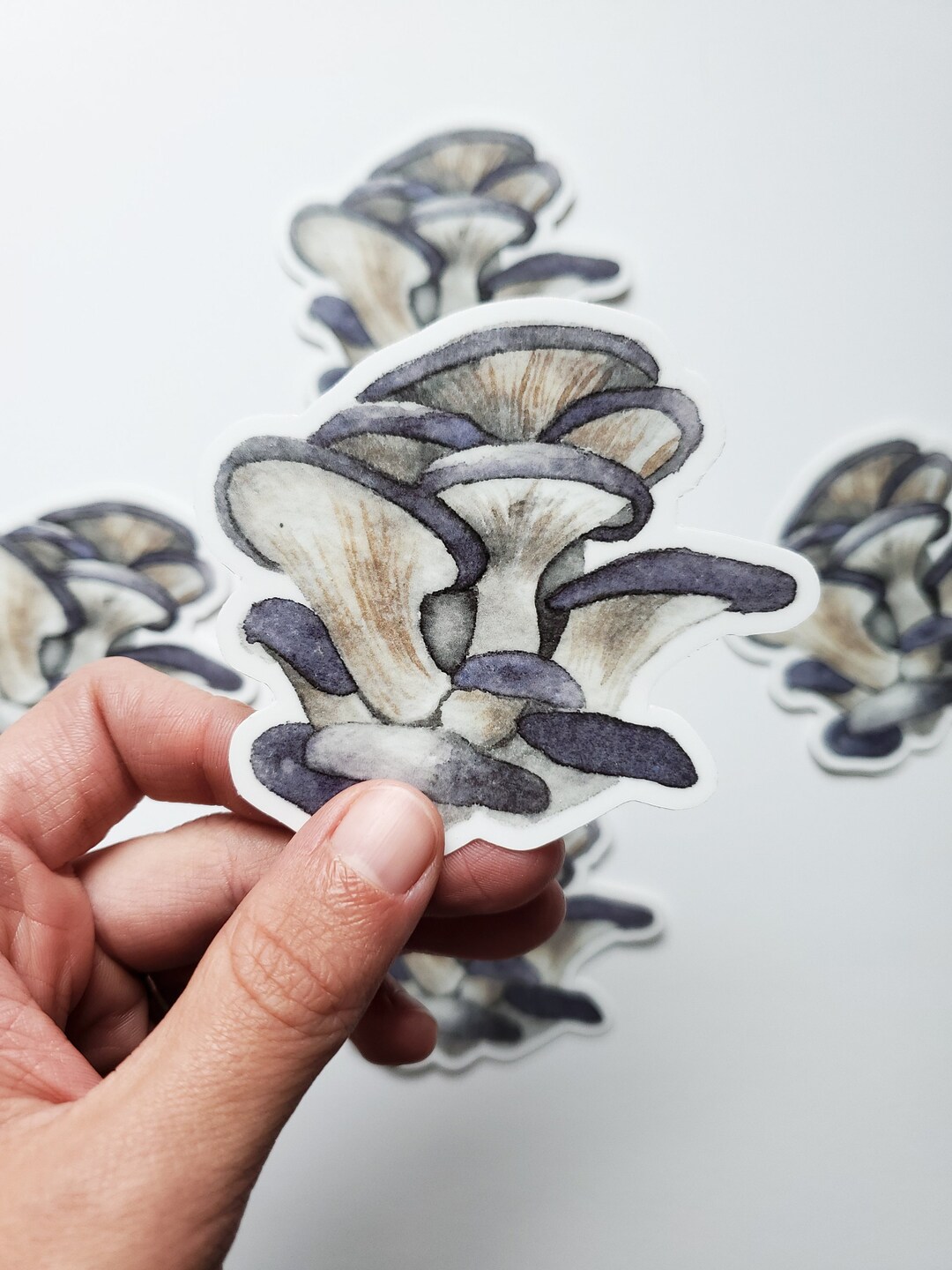 Grey Oyster Mushroom Vinyl Sticker | Nature Stickers, Botanical ...