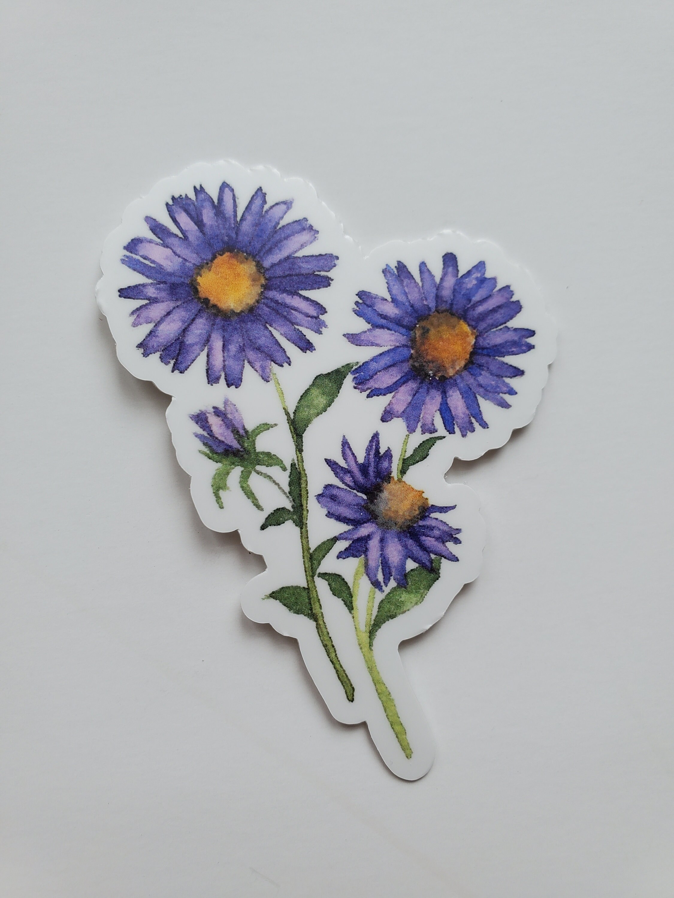 Aster Vinyl Sticker | Nature Stickers, Flower Vinyl Sticker, Botanical ...