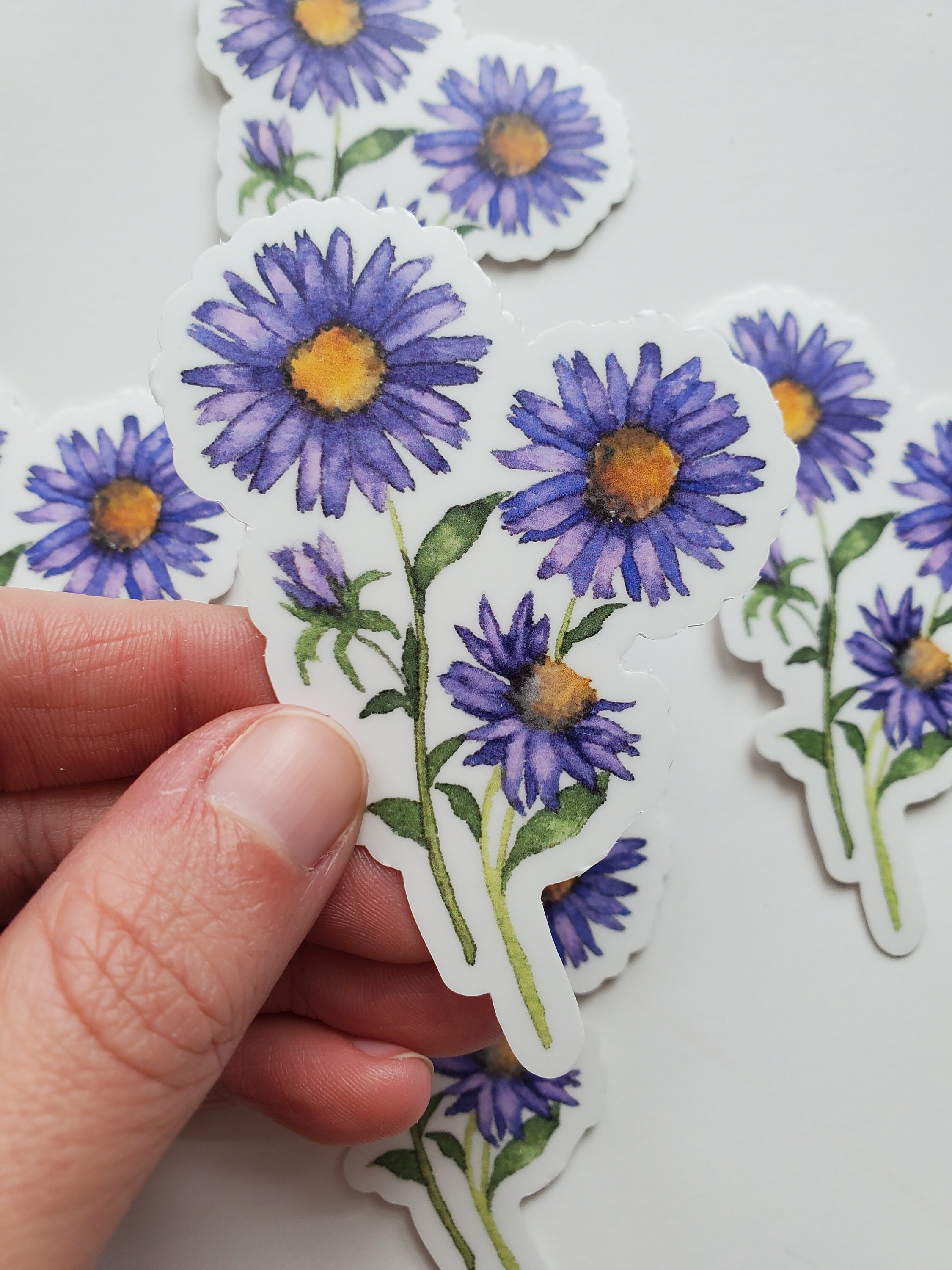 Aster Vinyl Sticker | Nature Stickers, Flower Vinyl Sticker, Botanical ...