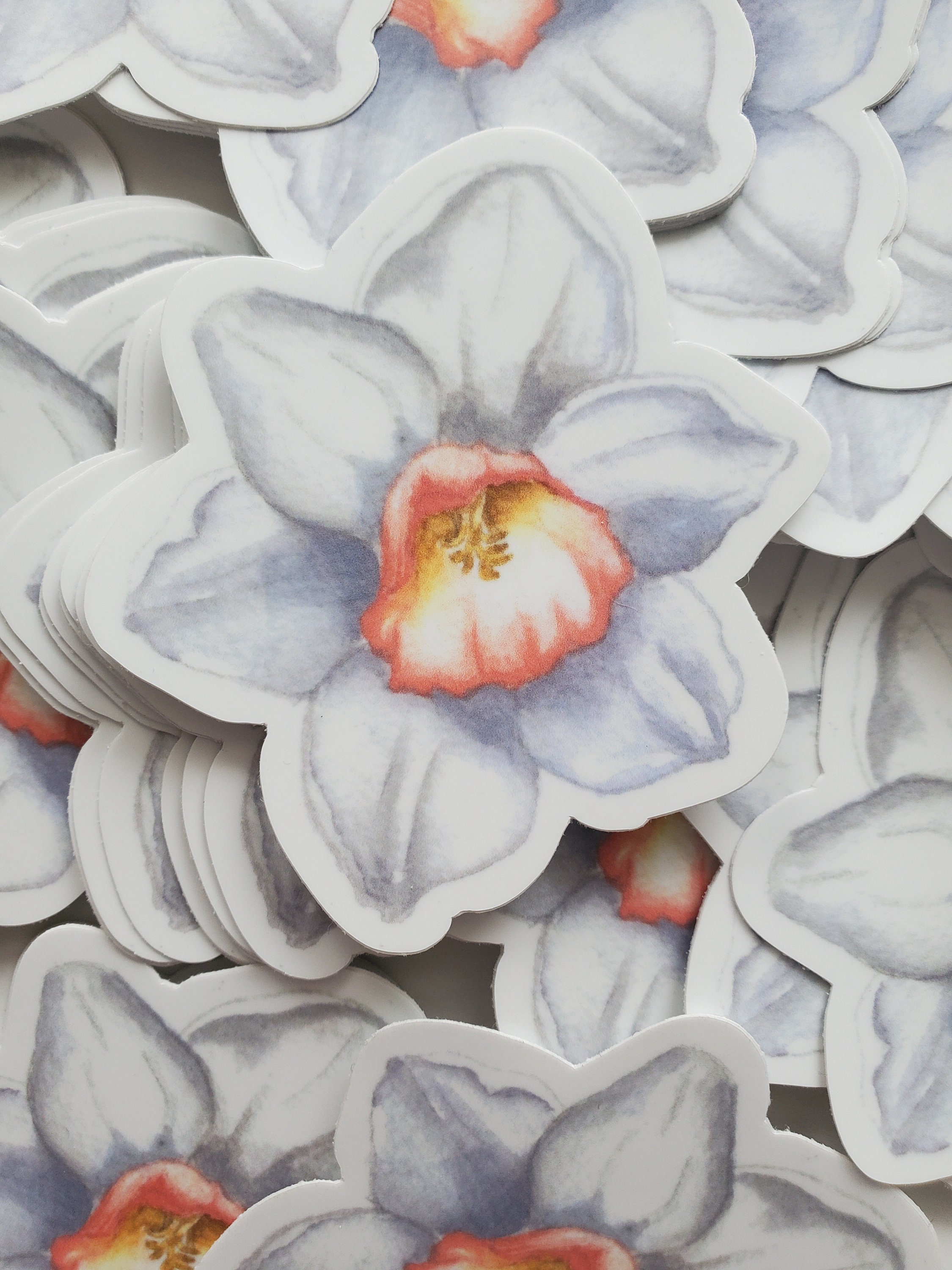 Daffodil Vinyl Sticker Nature Stickers, Flower Vinyl Sticker, Botanical ...