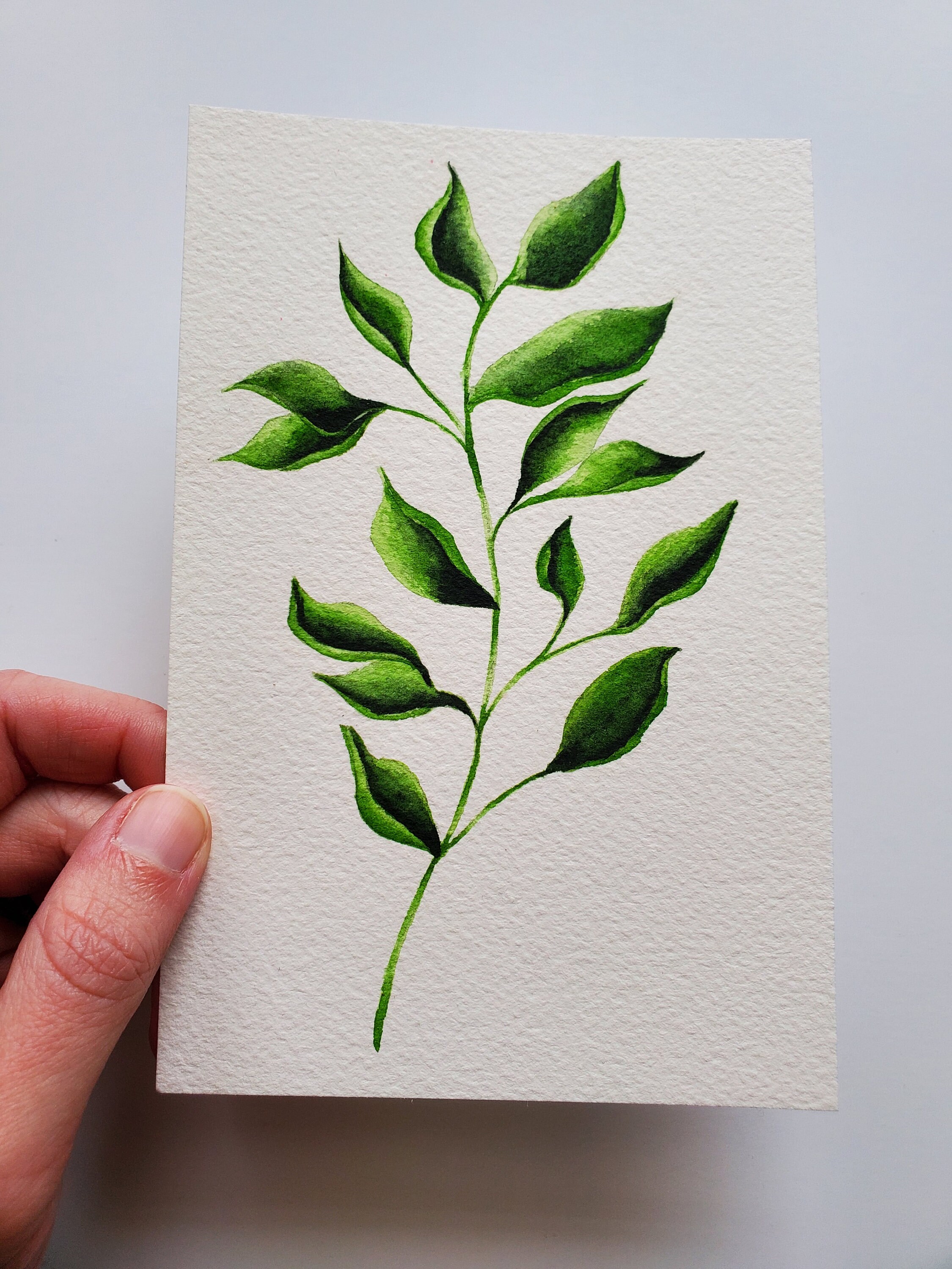 Green Foliage Study Original art, watercolor painting, watercolor study ...