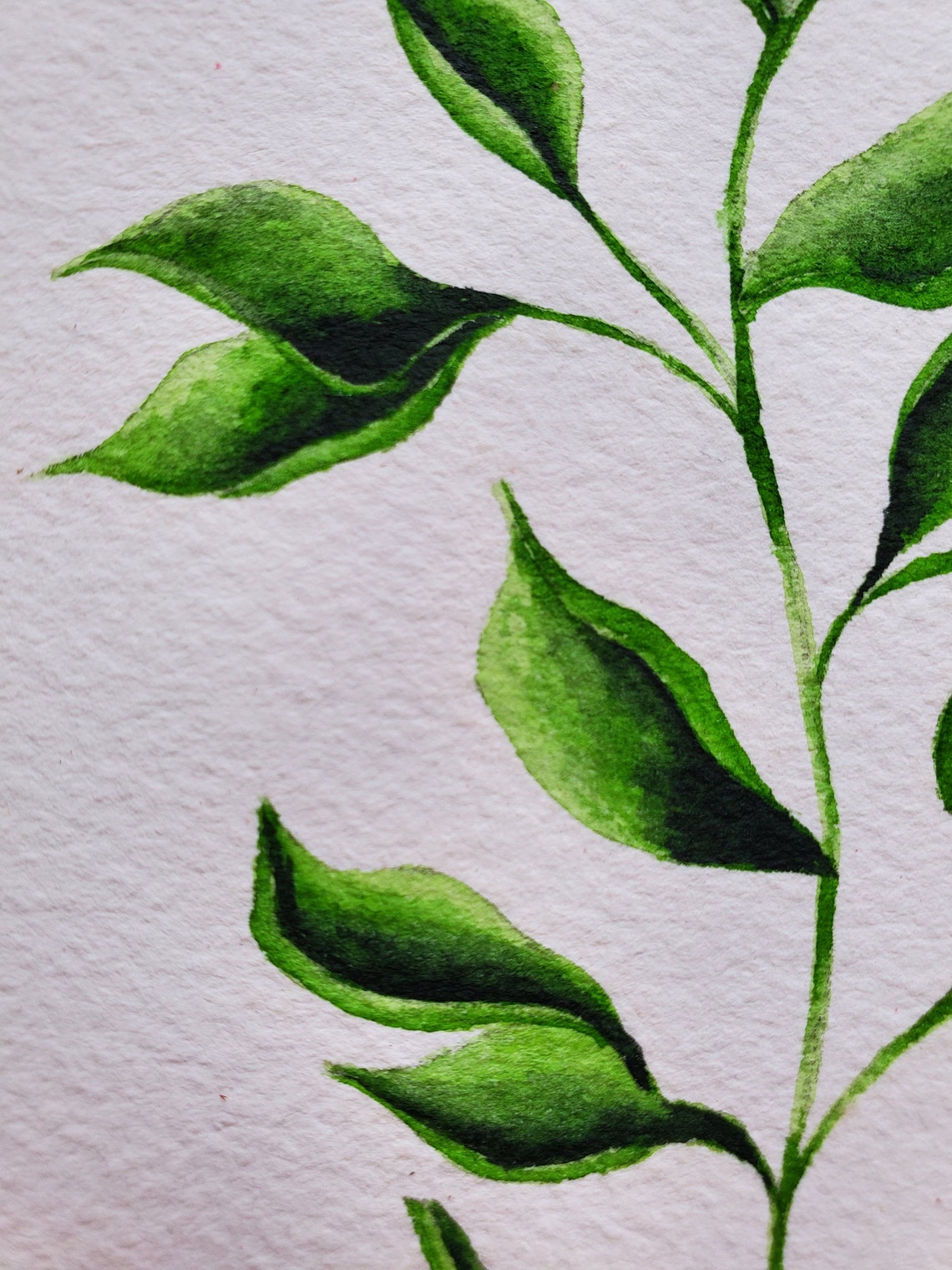 Green Foliage Study Original Art Watercolor Painting - Etsy