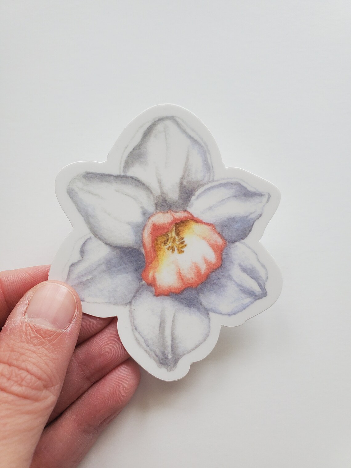 Daffodil Vinyl Sticker Nature Stickers, Flower Vinyl Sticker, Botanical ...