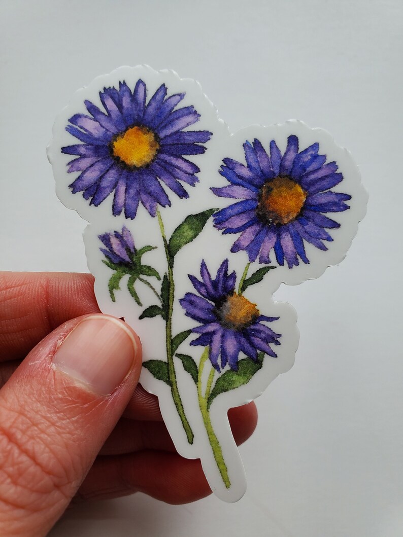 Aster Vinyl Sticker | Nature Stickers, Flower Vinyl Sticker, Botanical ...