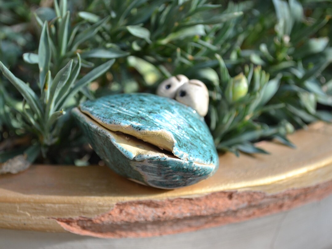 Grumpy Ceramic Shell João - Etsy