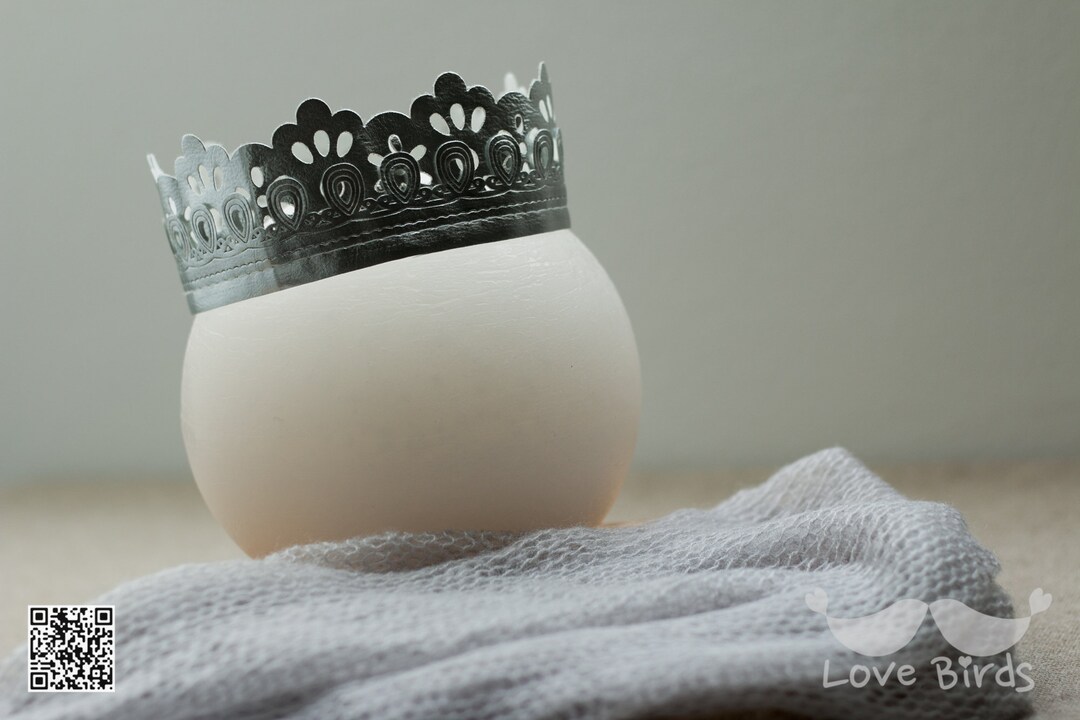 Photoset Crown Mohair Wrap for Newborn Silver / Light Gray - Etsy