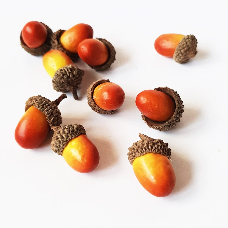 Miniature Acorns - Etsy
