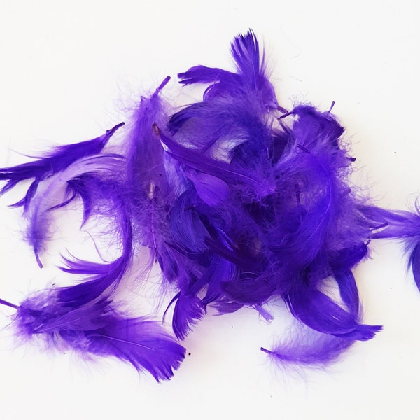 Purple Feathers - Etsy
