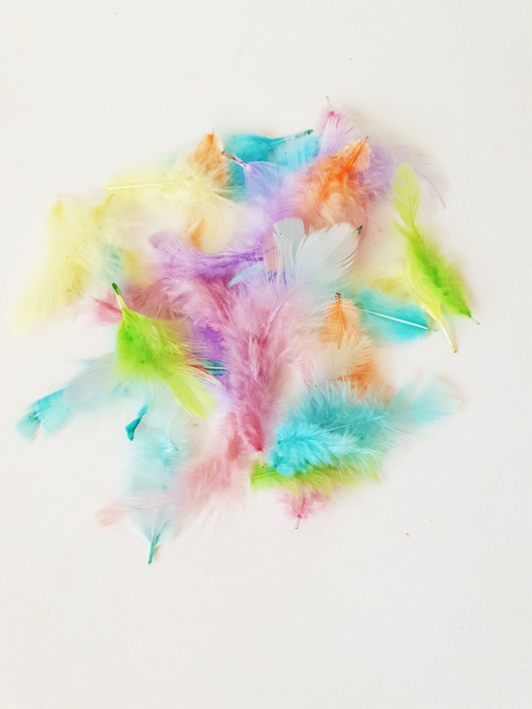 100 Mix Soft Colors Coloured Feathers, DIY Crafts, Wedding Decoration ...