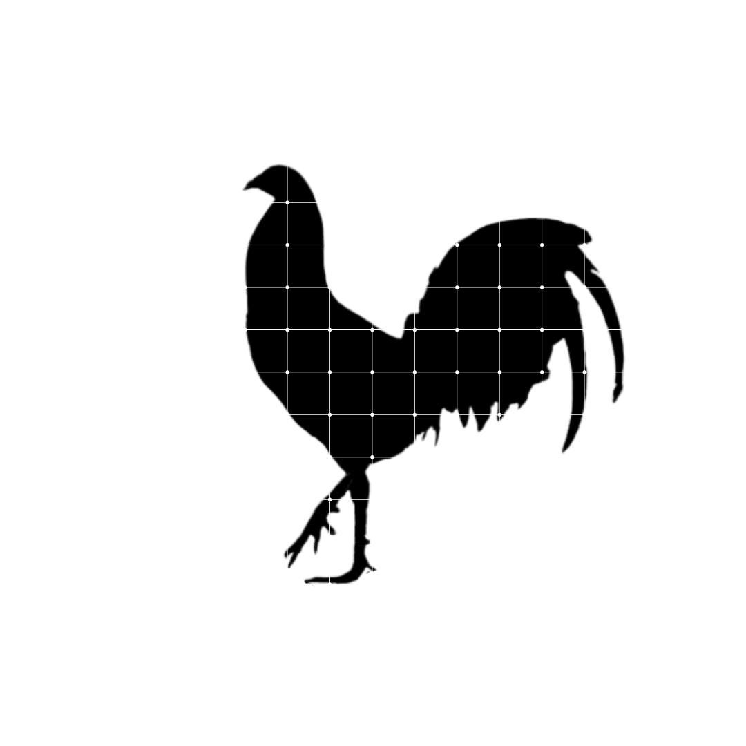 Gamefowl Gallos Rooster PNG SVG JPEG Commercial Use - Etsy