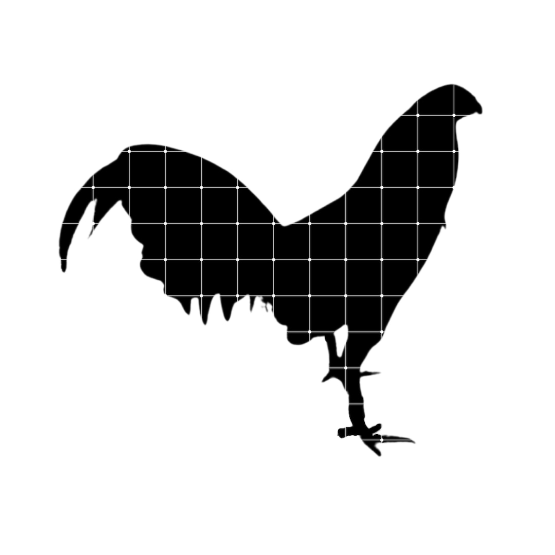 Gamefowl Gallos Rooster PNG SVG JPEG Commercial Use Bundle - Etsy