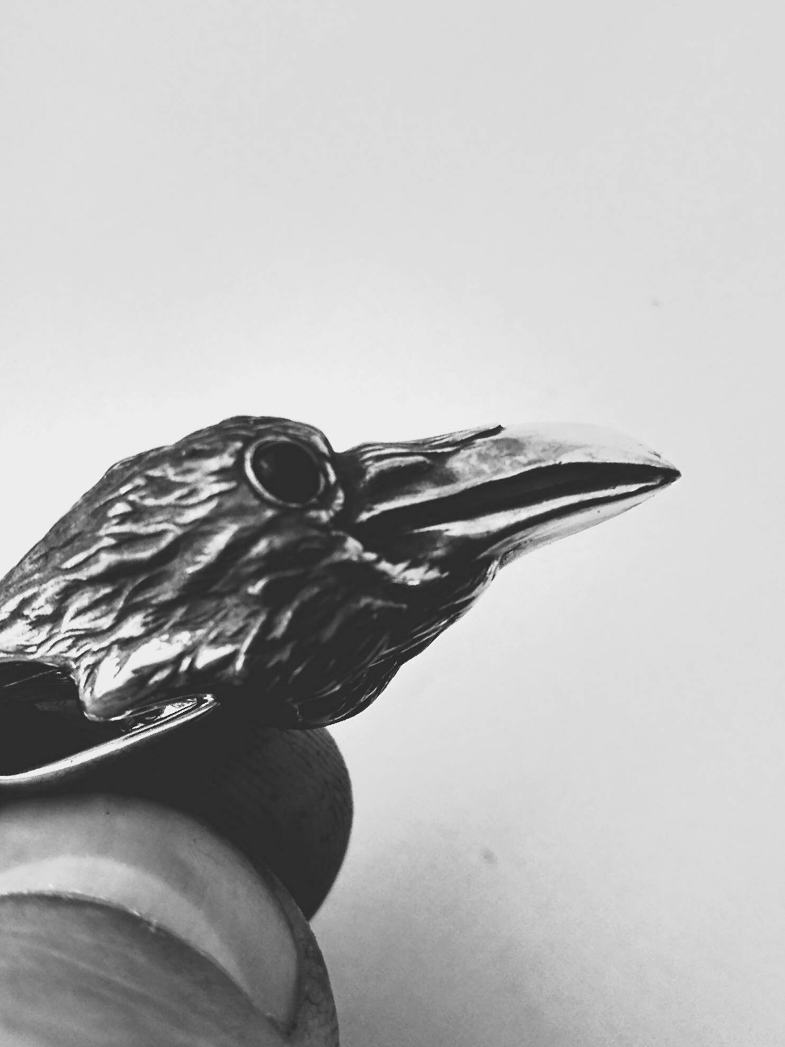 Crow Pendant Silver Onix Bird Necklace Pagan Raven Necklace American ...
