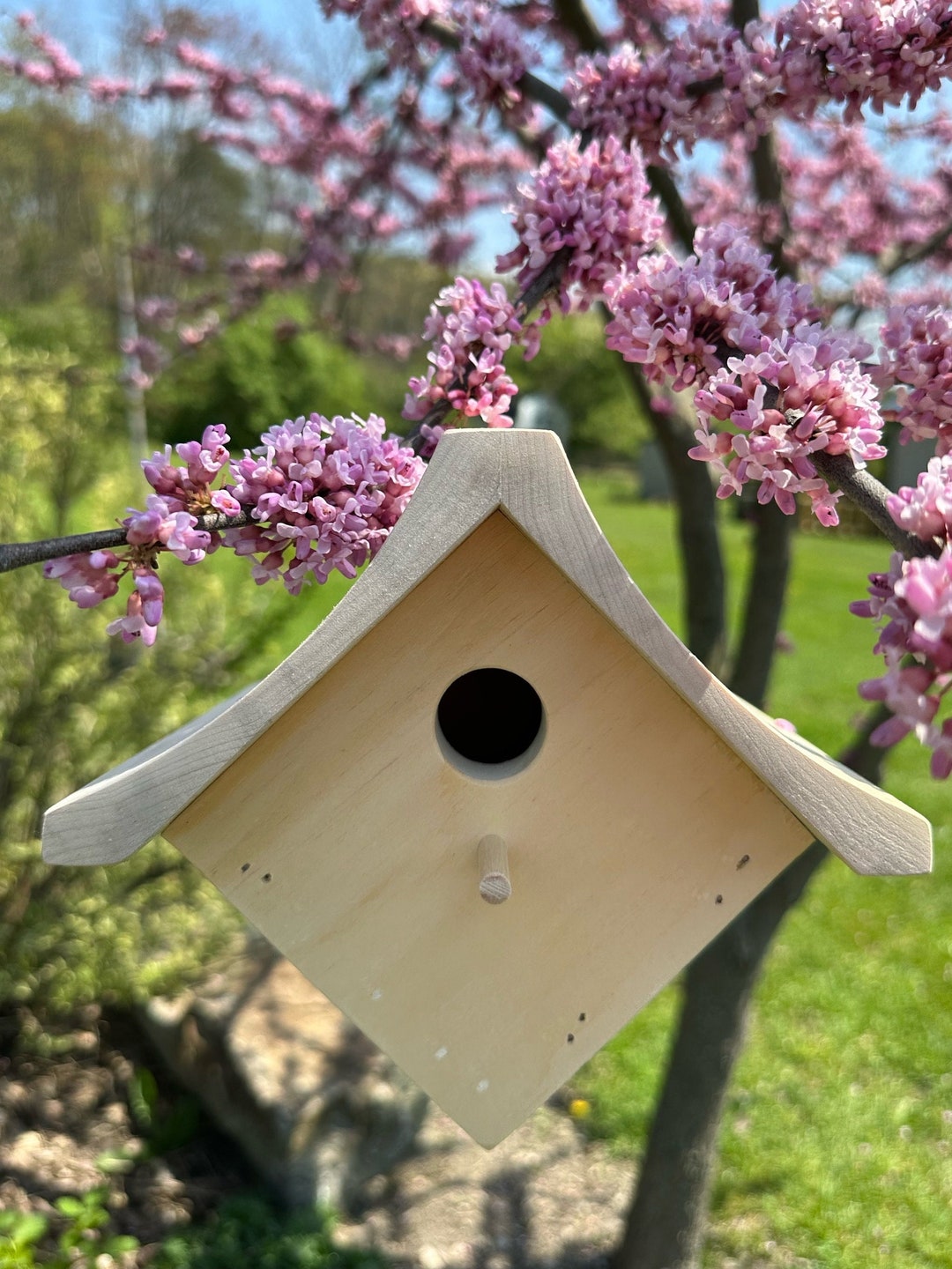 Handmade Wooden Wren Birdhouse Maple/poplar/pine to Paint Bird House ...
