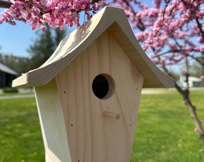 Handmade Wooden Birdhouse Craft Project to Paint Sturdy Multiple ...