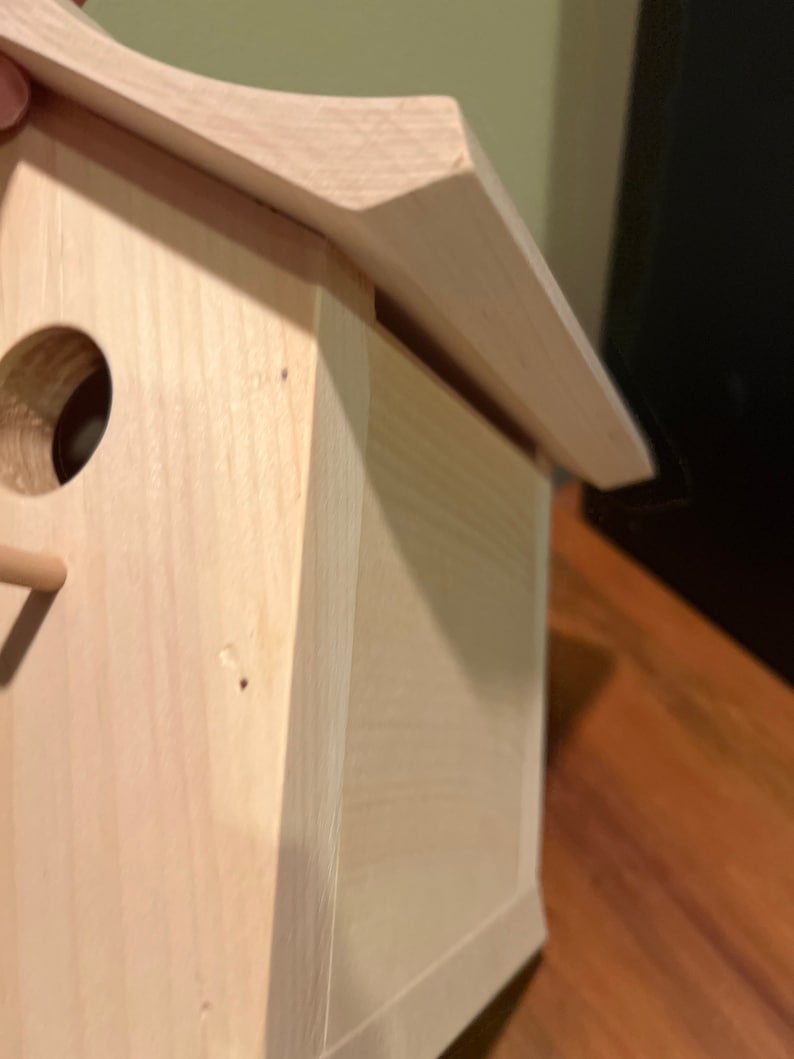 Handmade Wooden Birdhouse Craft Project to Paint Sturdy - Etsy
