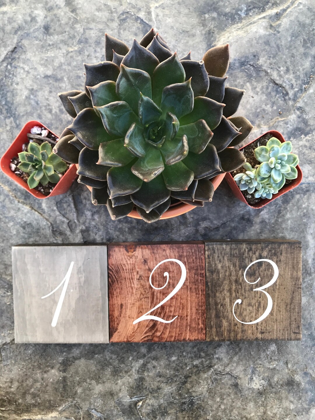 Wooden Table Numbers (set of 20) Wedding Decor, Table Numbers, Wedding ...