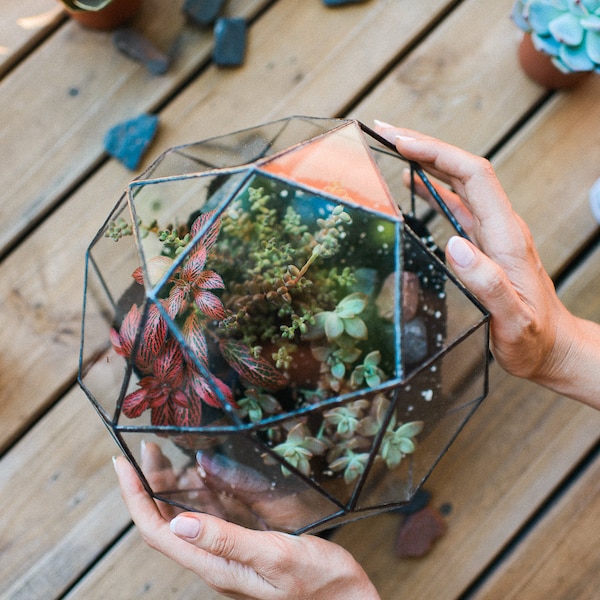 Geometric Terrarium - Etsy