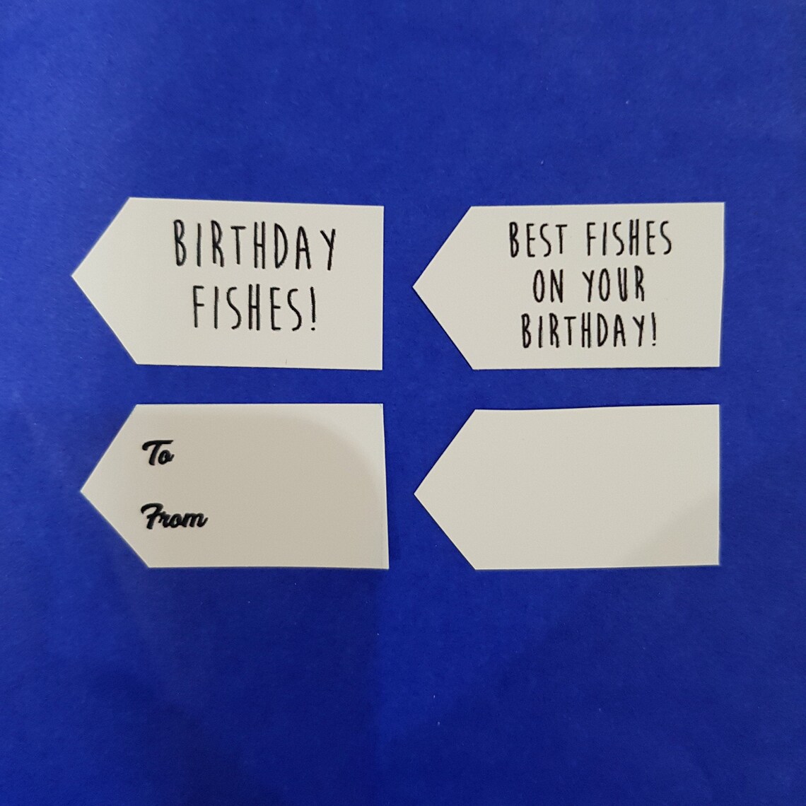 Birthday Fishes Gift, Best Wishes Fish, Novelty Birthday Floating Cute ...