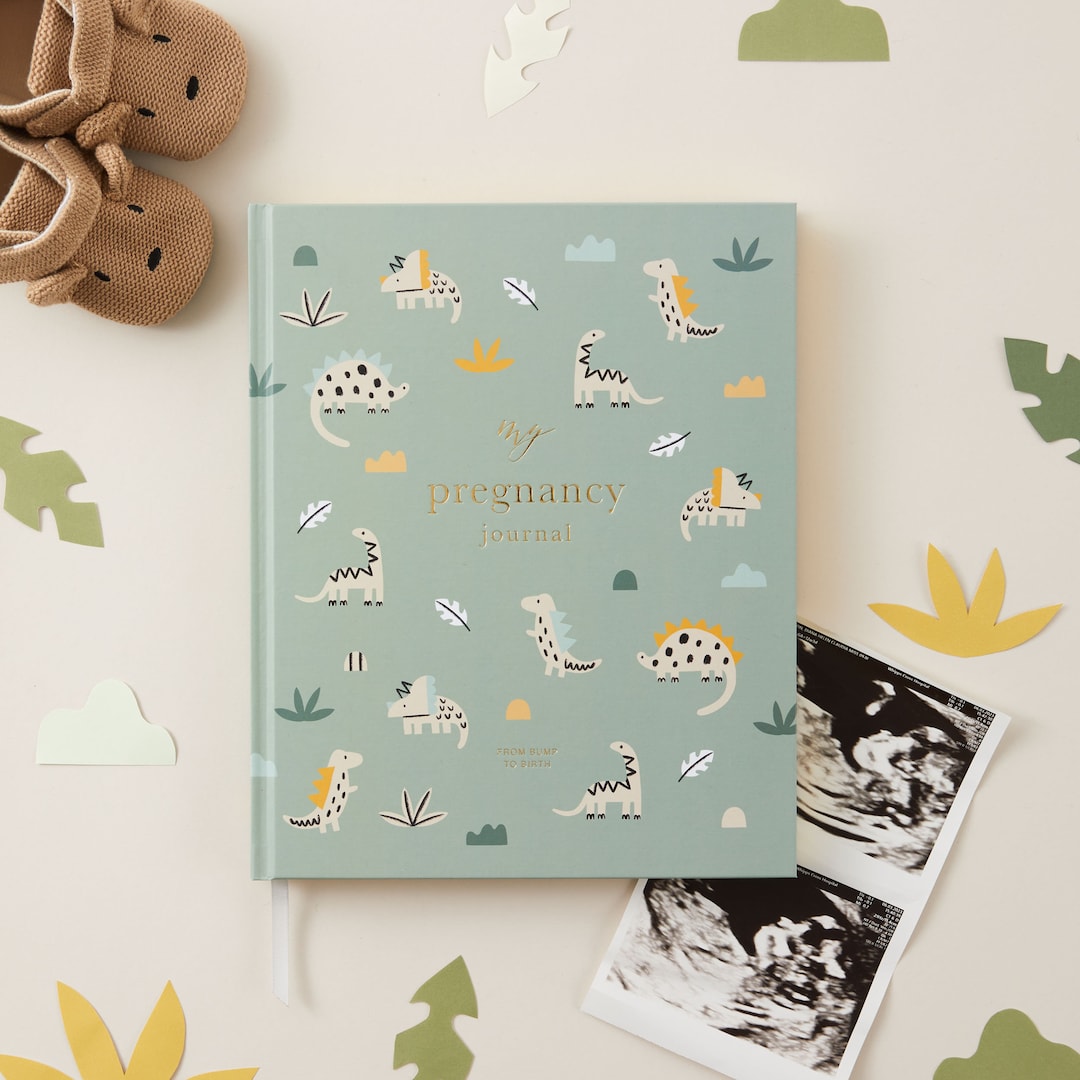 My Pregnancy Journal, Expectant Mother Gift, Pregnancy Planner - Dino ...
