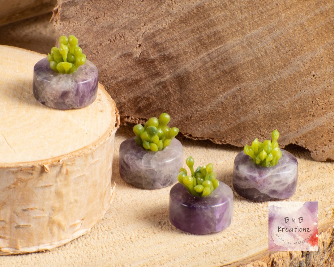 Miniature Potted Plant in Purple Amethyst Pot With Succulent for 1:12 ...