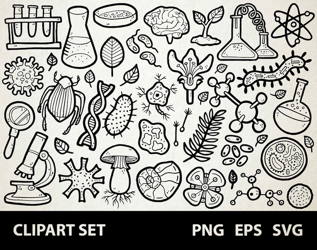 Biology / Digital Clip Art Graphics/ SVG, PNG, EPS / Science, Biologist ...