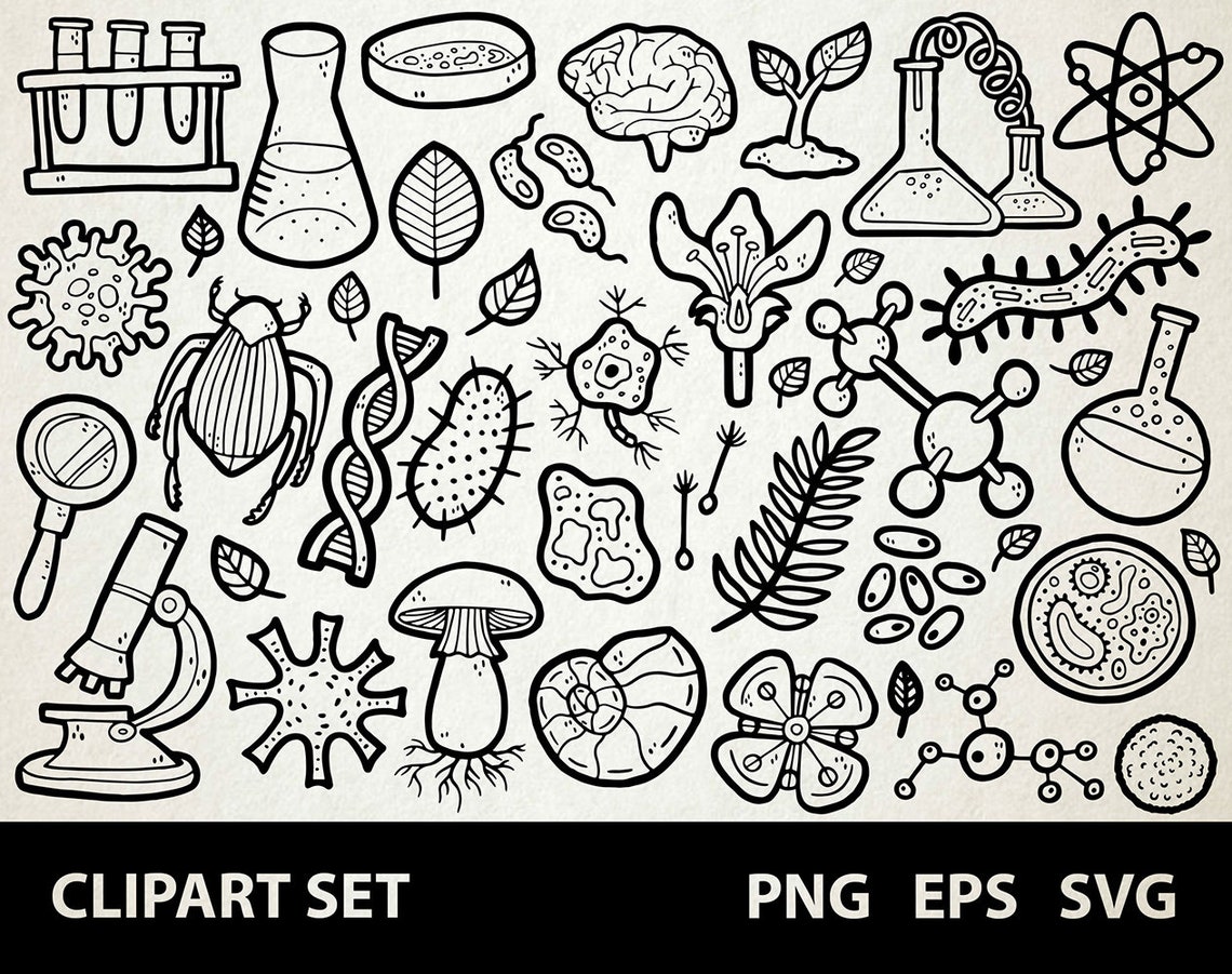Biology / Digital Clip Art Graphics/ SVG, PNG, EPS / Science, Biologist ...