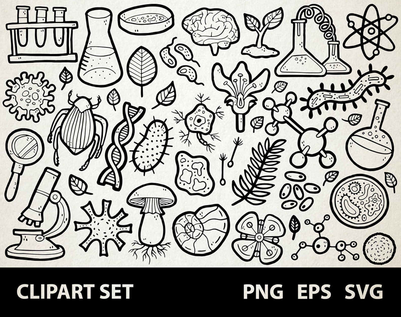 Biology / Digital Clip Art Graphics/ SVG, PNG, EPS / Science, Biologist ...