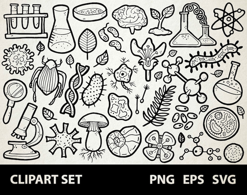 Biology / Digital Clip Art Graphics/ SVG, PNG, EPS / Science, Biologist ...