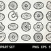 Donuts / Digital Clip Art Graphics / SVG, PNG, Eps / Doughnuts, Pastry ...