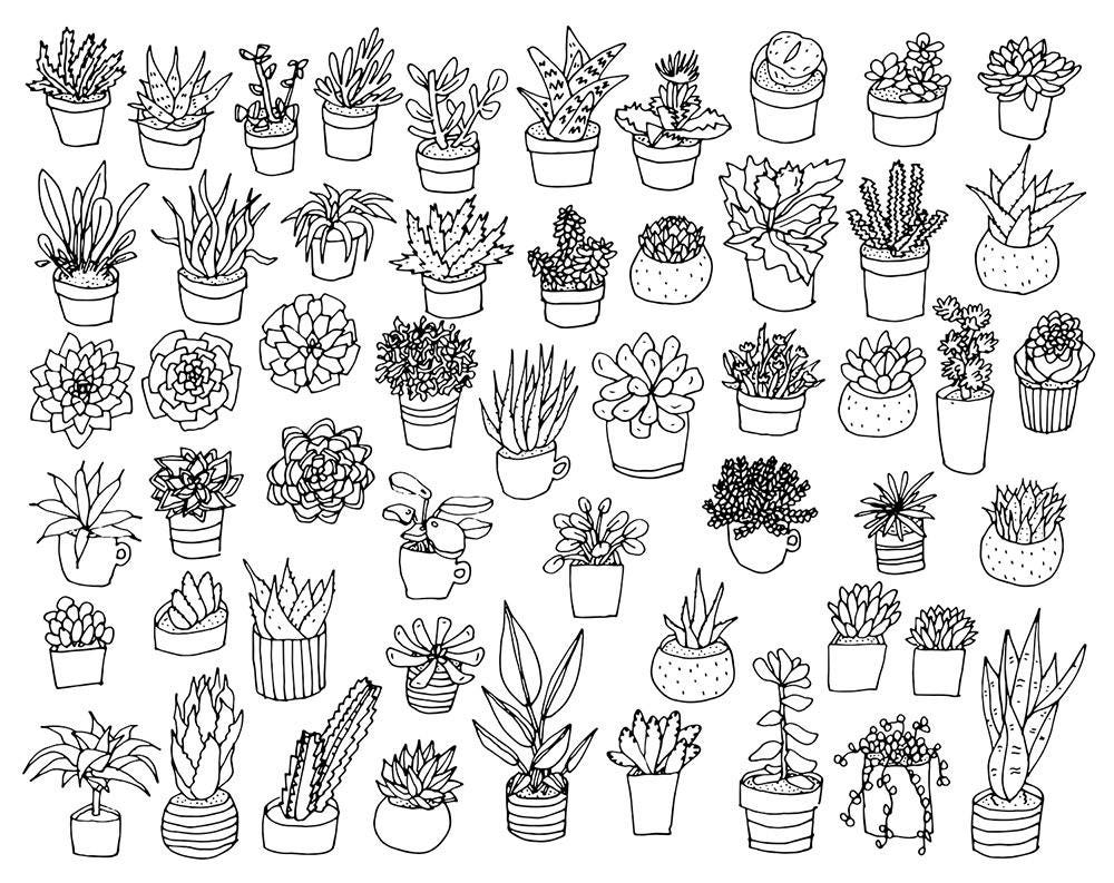 53 Succulent Doodles / Digital PNG Clipart Graphics / + EPS Vector ...