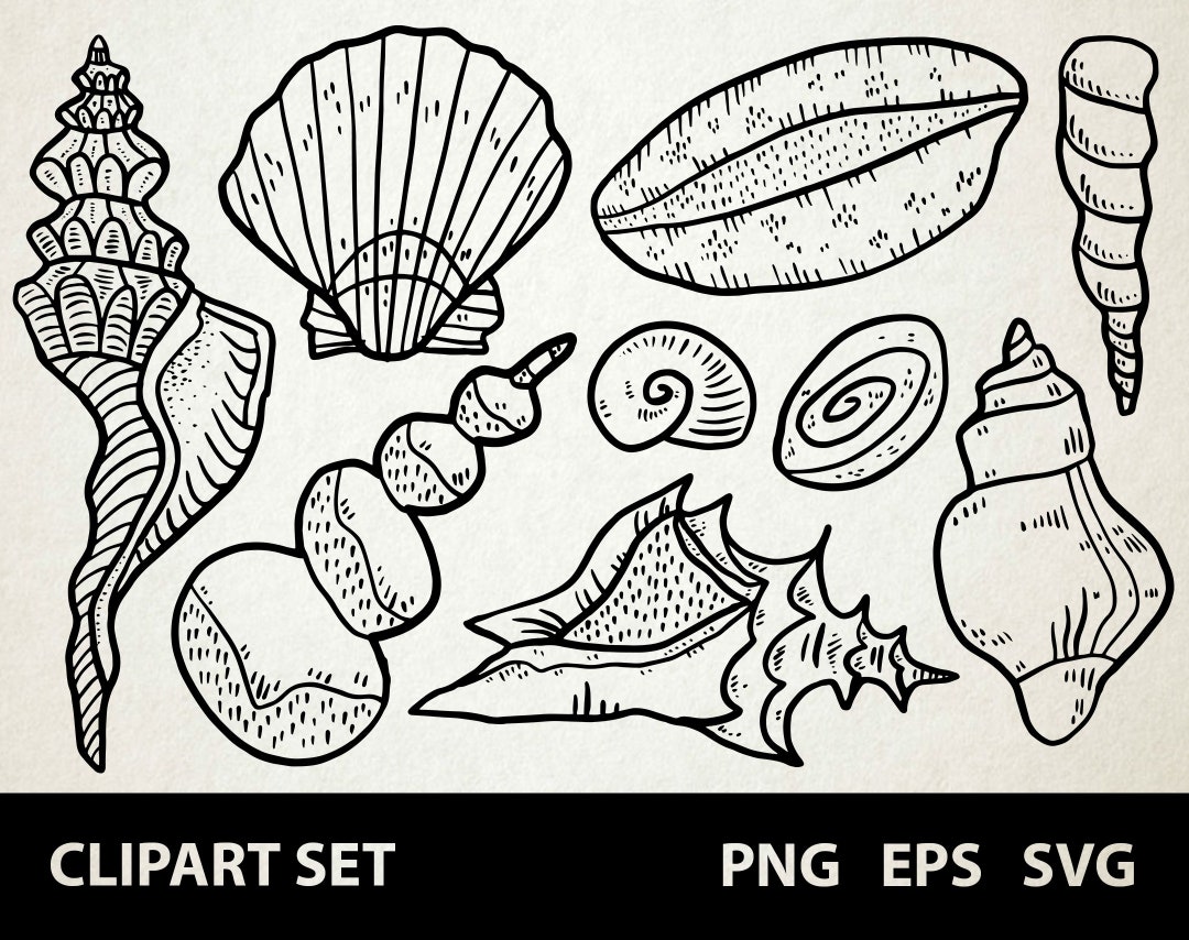 Shells / Digital Clip Art Graphics / SVG, PNG, EPS / Mussel, Oyster ...