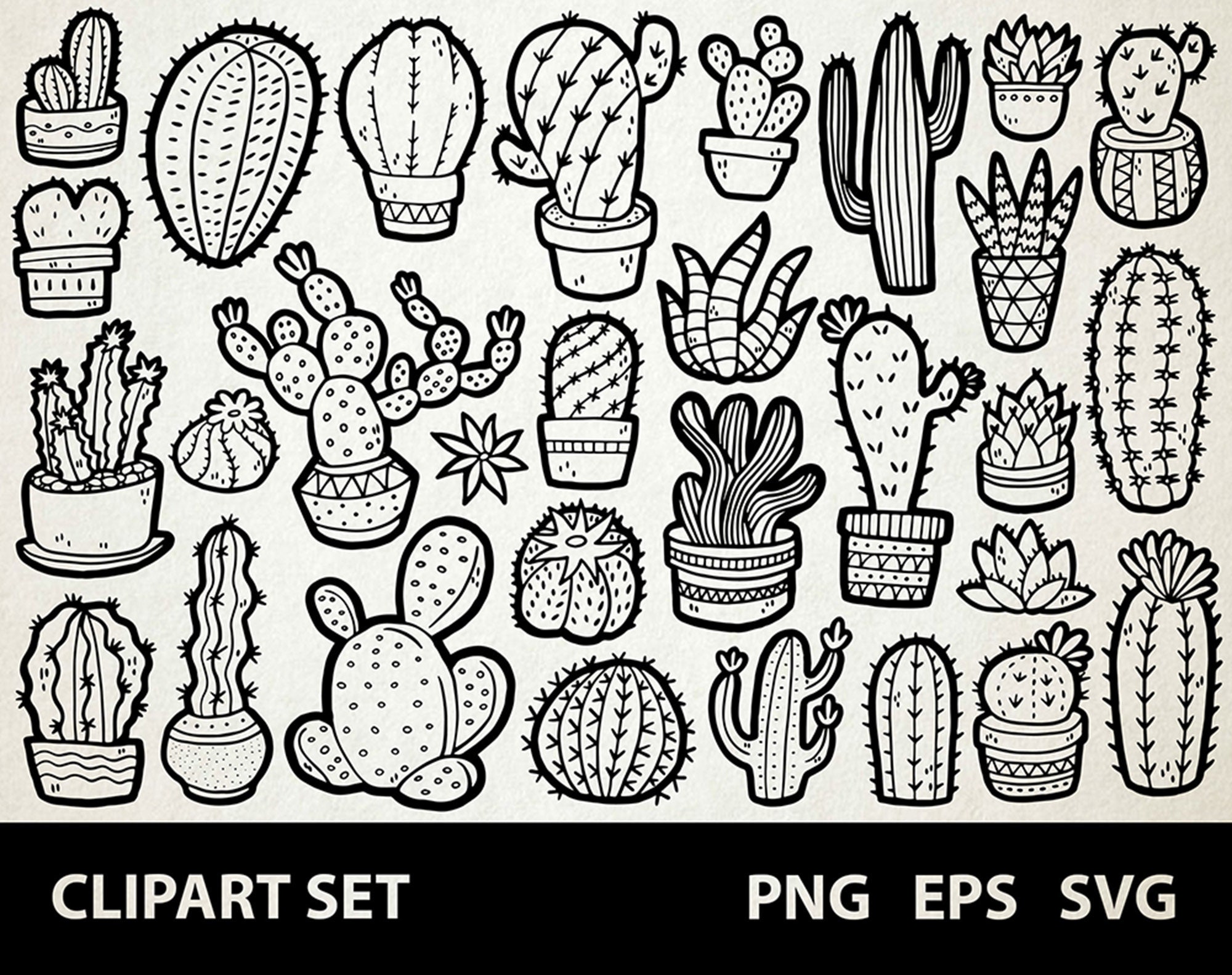 Cactus / Digital Clip Art Graphics / SVG, PNG, EPS / Succulent, Cacti ...
