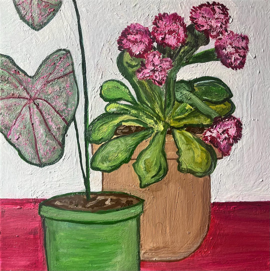 Caladium Plant Oil Painting on Canvas - Etsy