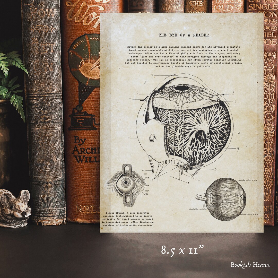 Anatomy Wall Art, Eye of a Reader Print, Weird Taxidermy, Oddities and ...