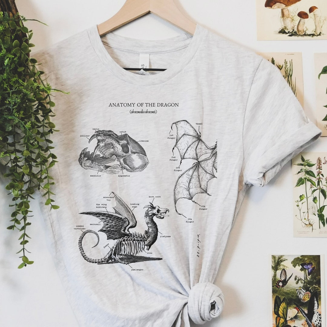 Dragon Anatomy, Dragon Anatomical Shirt, Ephemeral, Animal Vertebrae ...