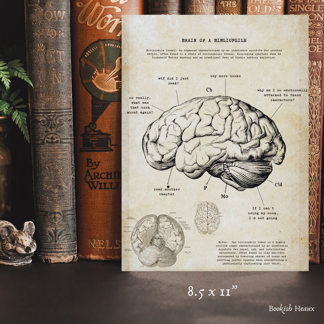 Brain Anatomy Wall Art, Dissection Art, Bibliophile, Literary Art Print ...