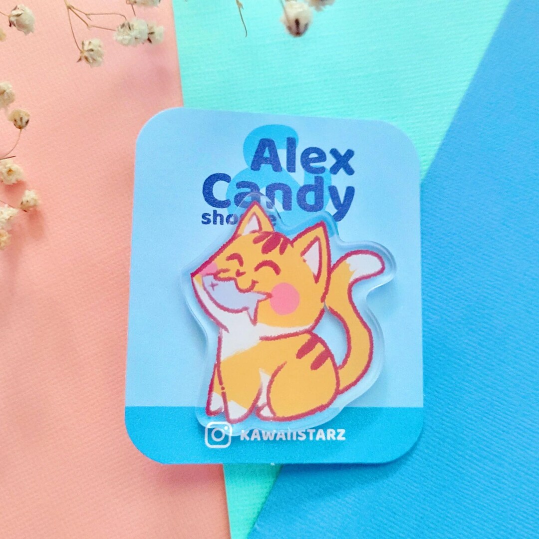 Cute Orange Tabby Cat Fish Acrylic Pin - Etsy