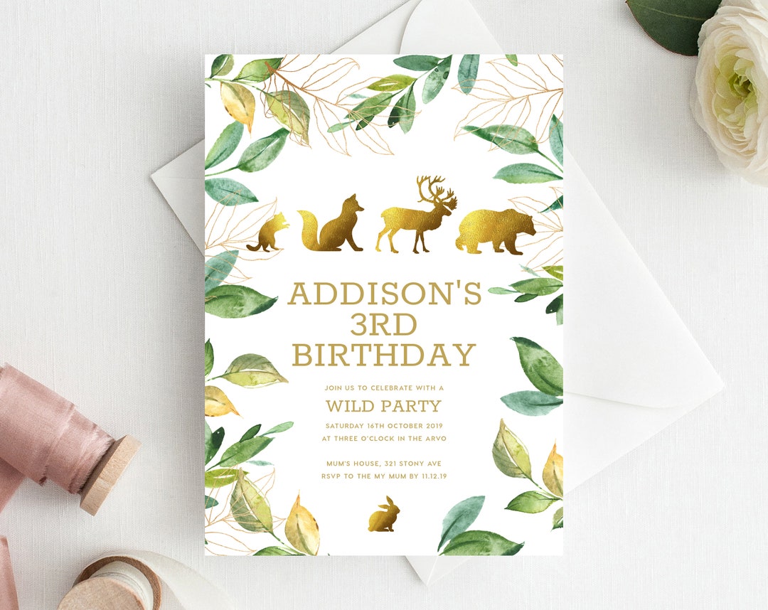 3rd Birthday Invitation INSTANT DOWNLOAD Third Birthday Invite ...