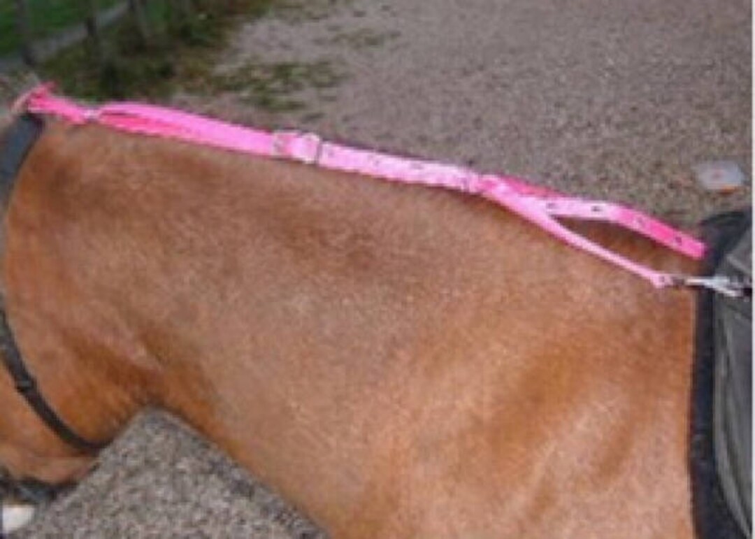 Children/ Beginner Daisy Horse/pony Reins Assists With Young Riders to ...