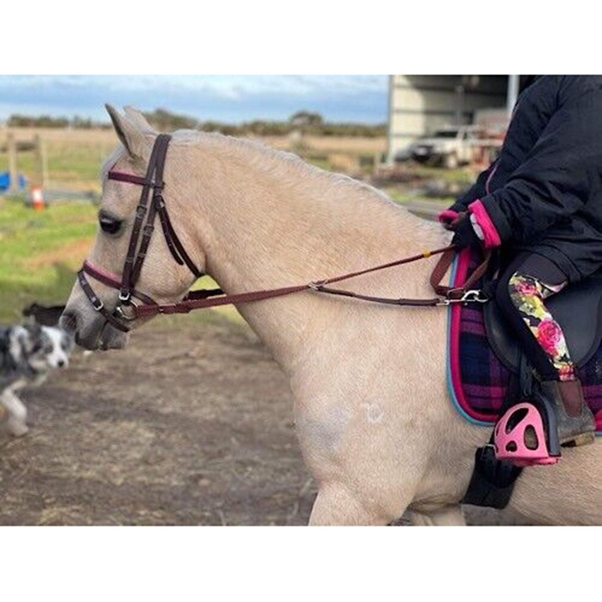 Marker Contact Reins for Children & Beginners for Aid of Balance With ...