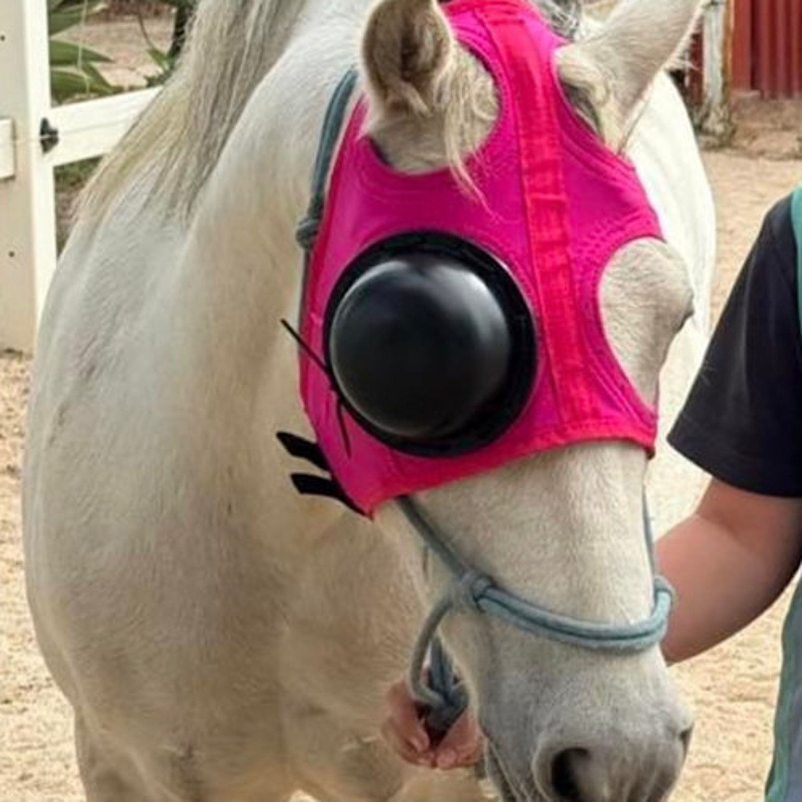 Horse Recovery Eye Protector Mask Eye Protection Mask for Horse Eye ...