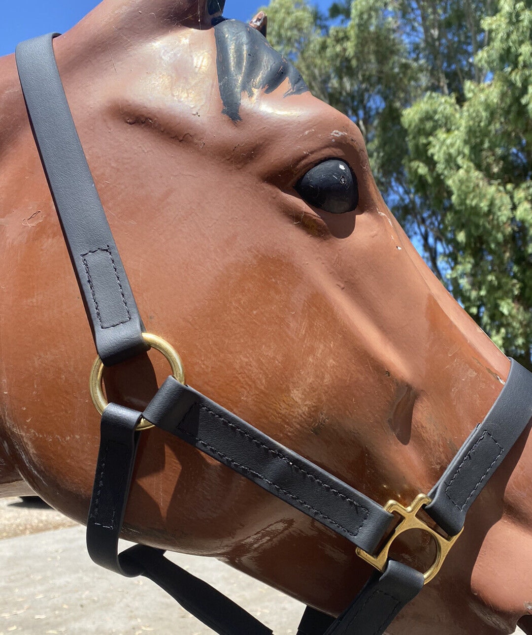 Horse Halter Head Collar Coloured 1"soft PVC Fully Adjustable Mini Pony ...